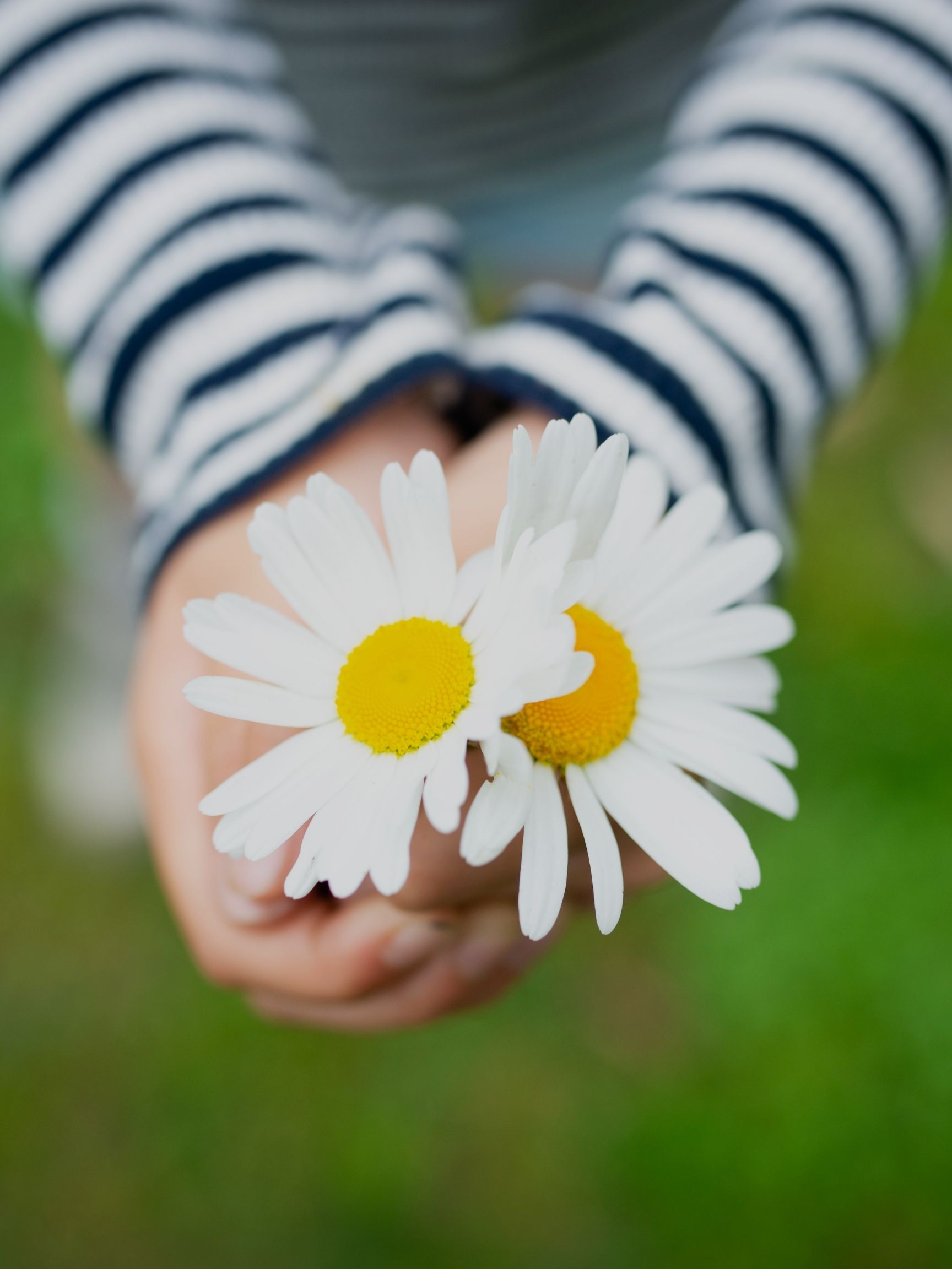 Supporting Your Taurus Child - Astrology Hub