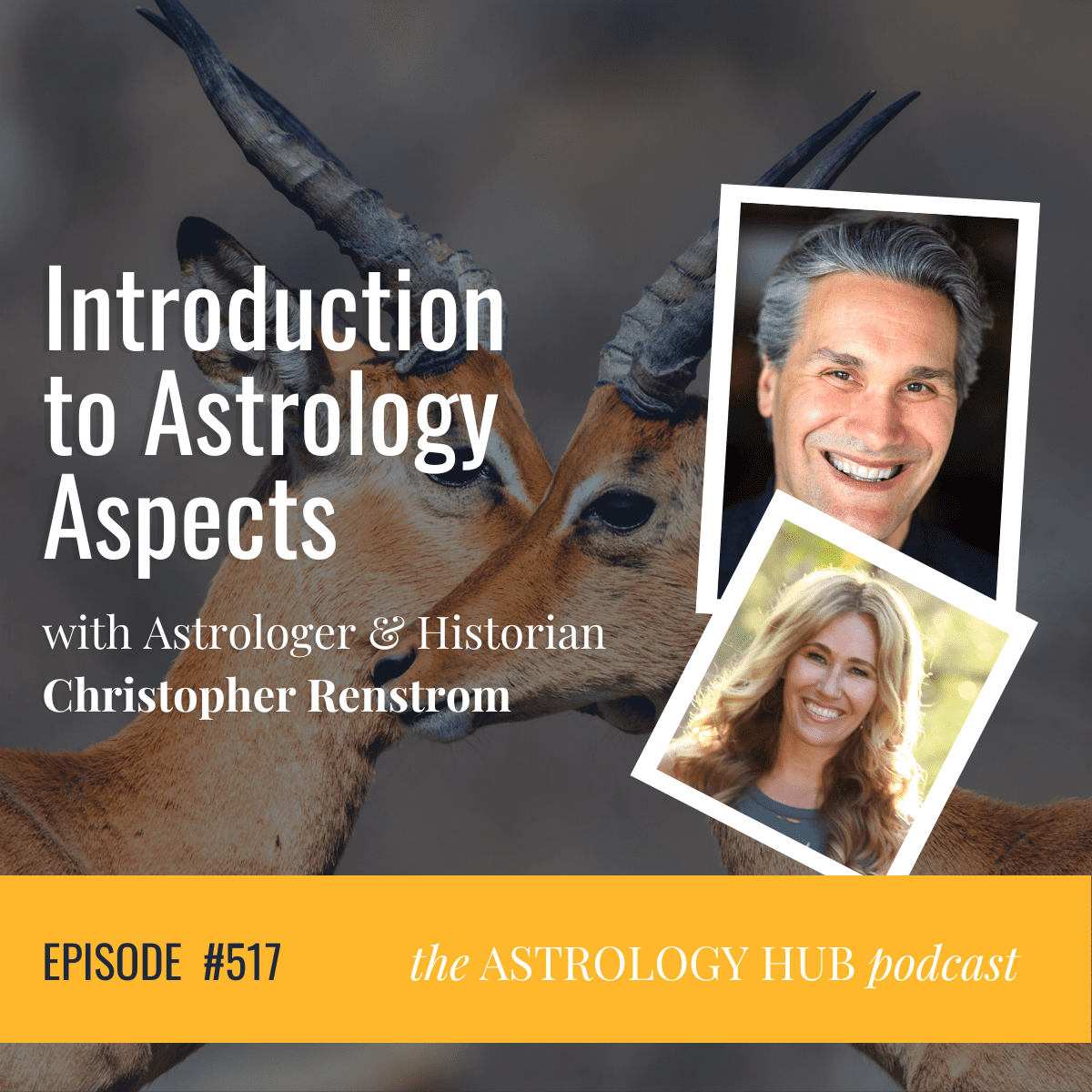 Introduction to Astrology Aspects w/ Christopher Renstrom - Astrology Hub