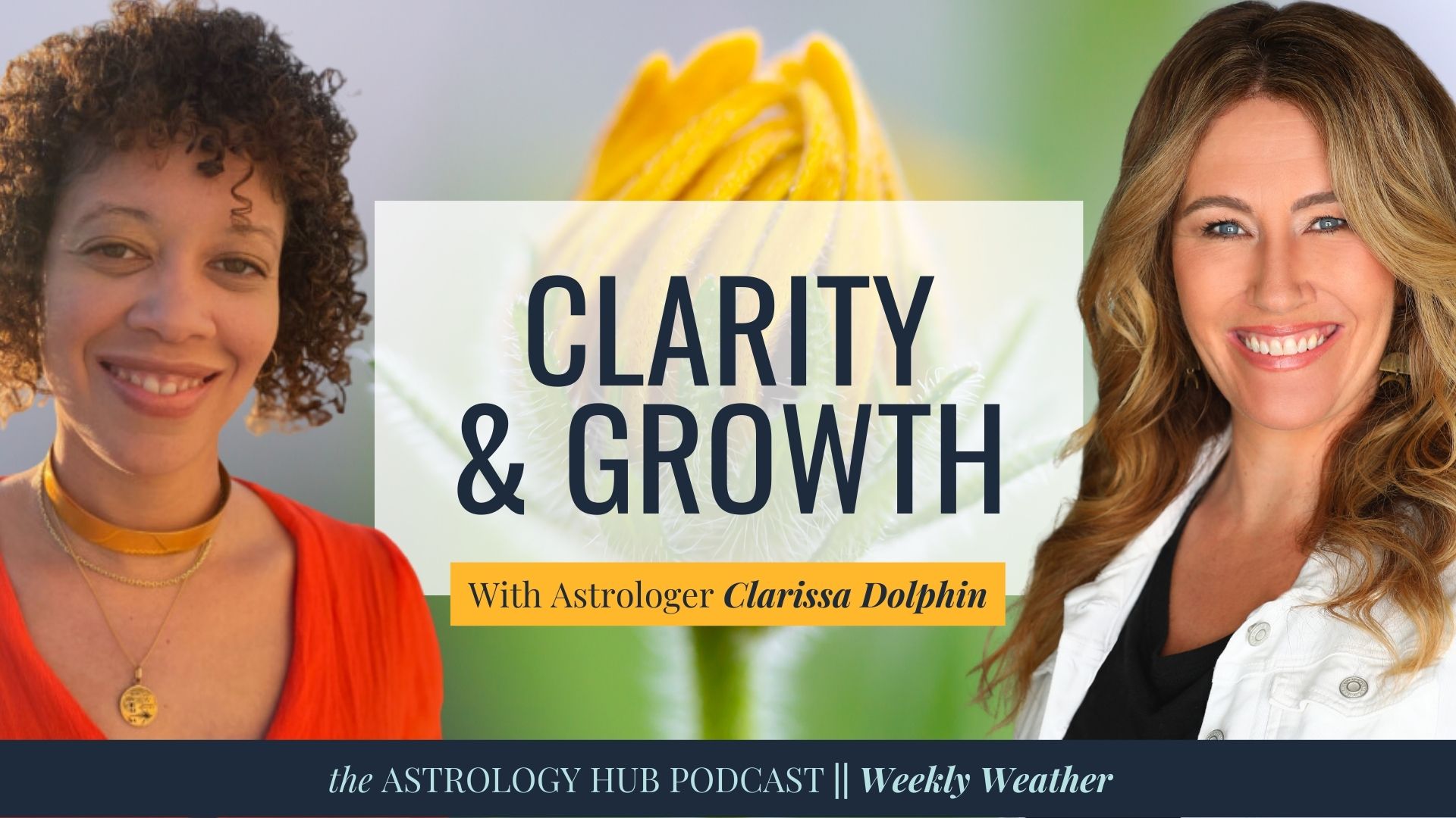 A Healing New Moon in Gemini w/ Clarissa Dolphin - Astrology Hub