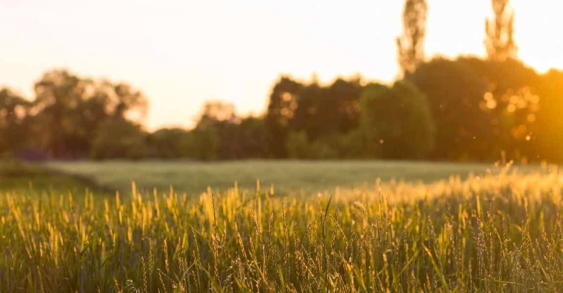 Getting a lay of the land… - Astrology Hub